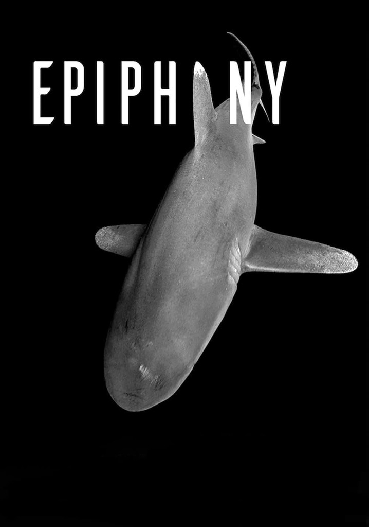 Epiphany streaming: where to watch movie online?